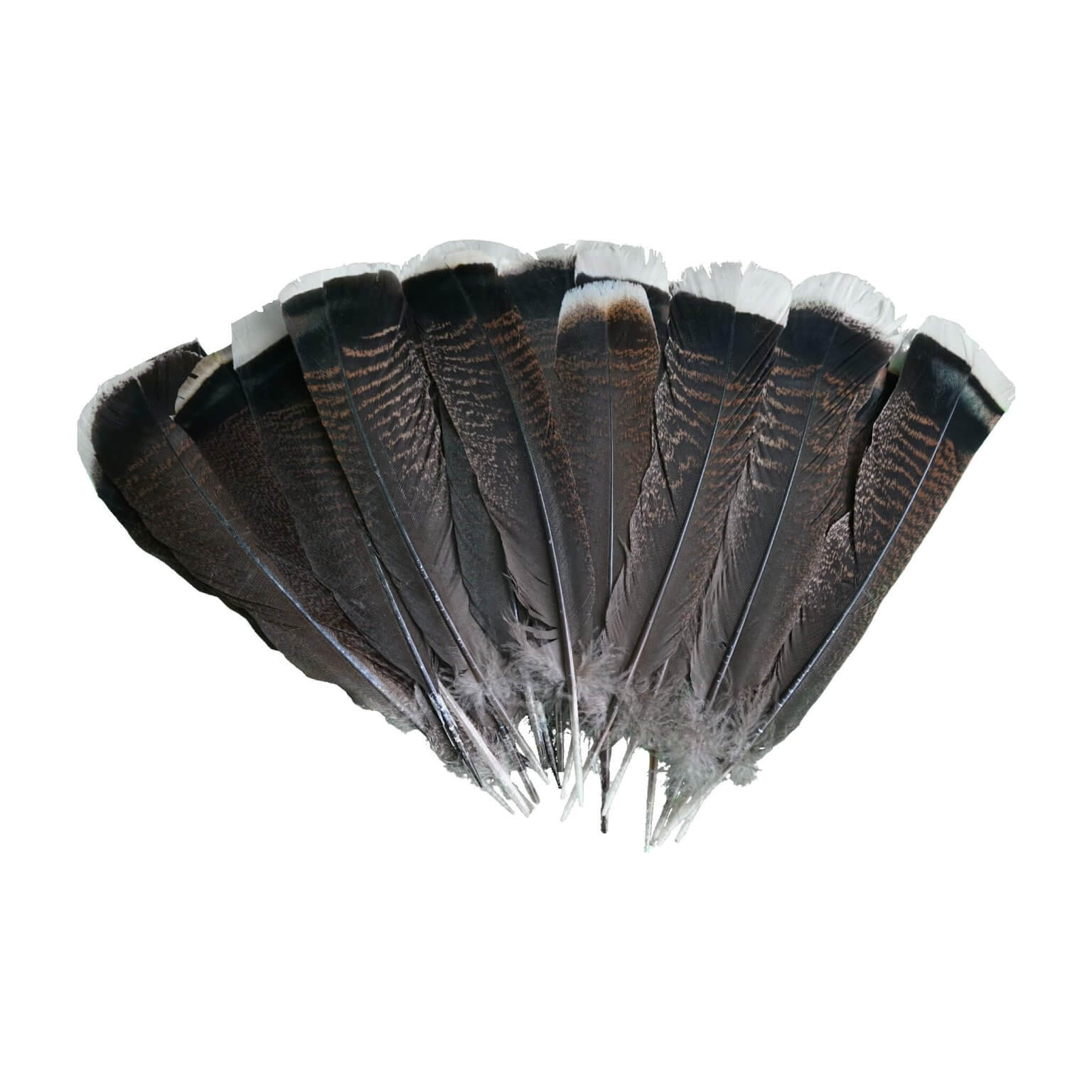 New Homepage » Killer Gear LLC